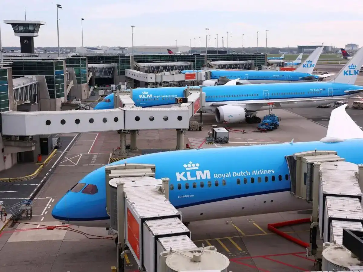 KLM flight attendant tested for hantavirus - The Economic Times