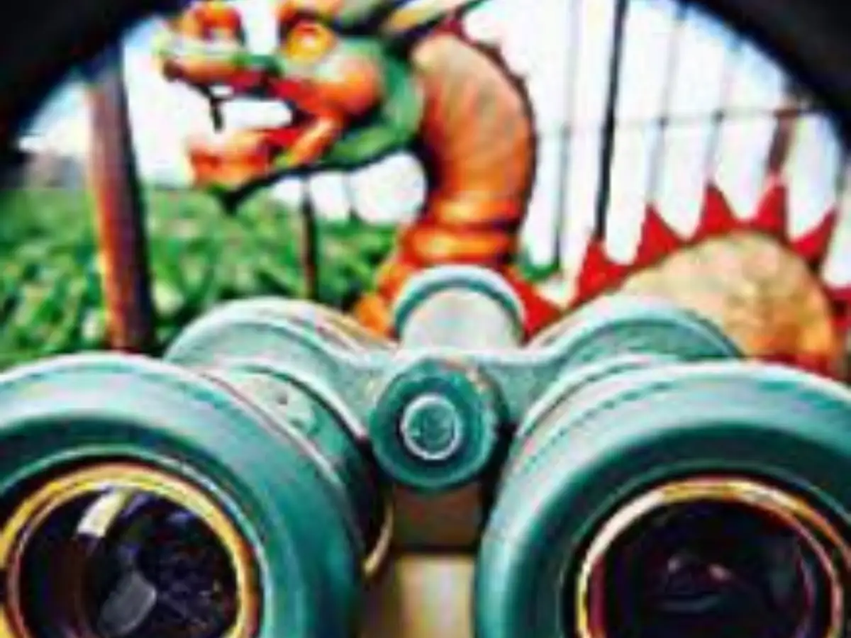 china: Keep China in our magnified sight - The Economic Times