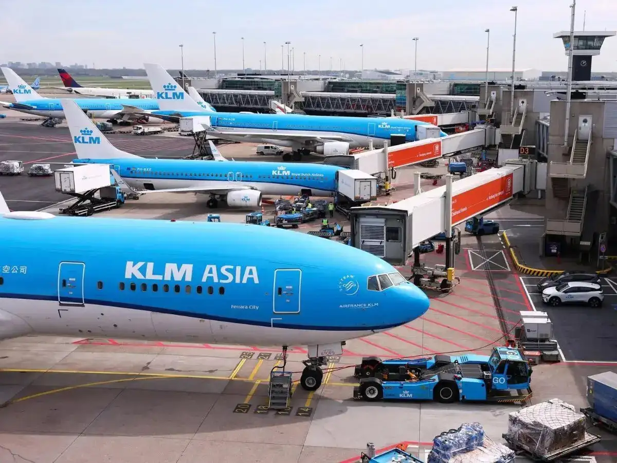 KLM flight attendant tested negative for hantavirus: WHO - The Economic ...