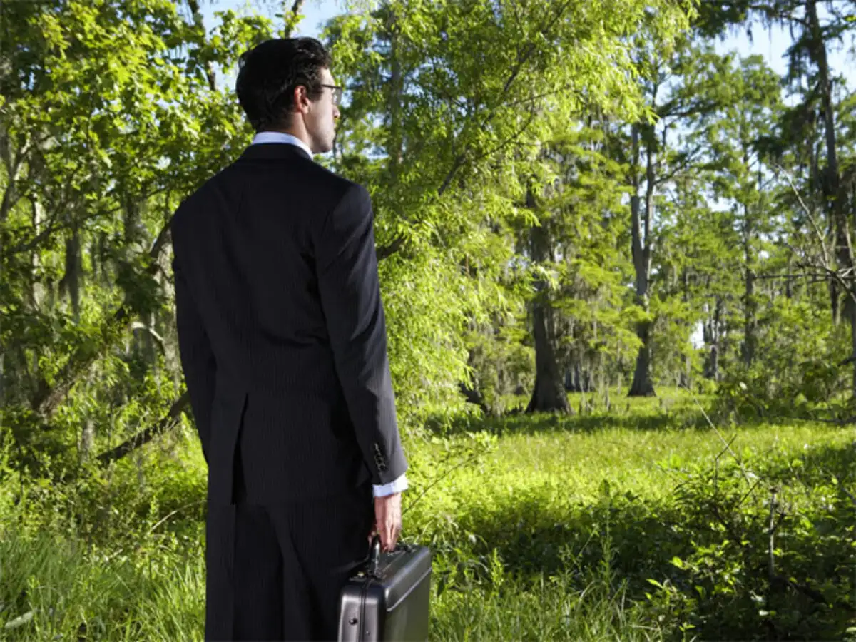 Smog: Businesses should create designs that mimic nature - The Economic ...