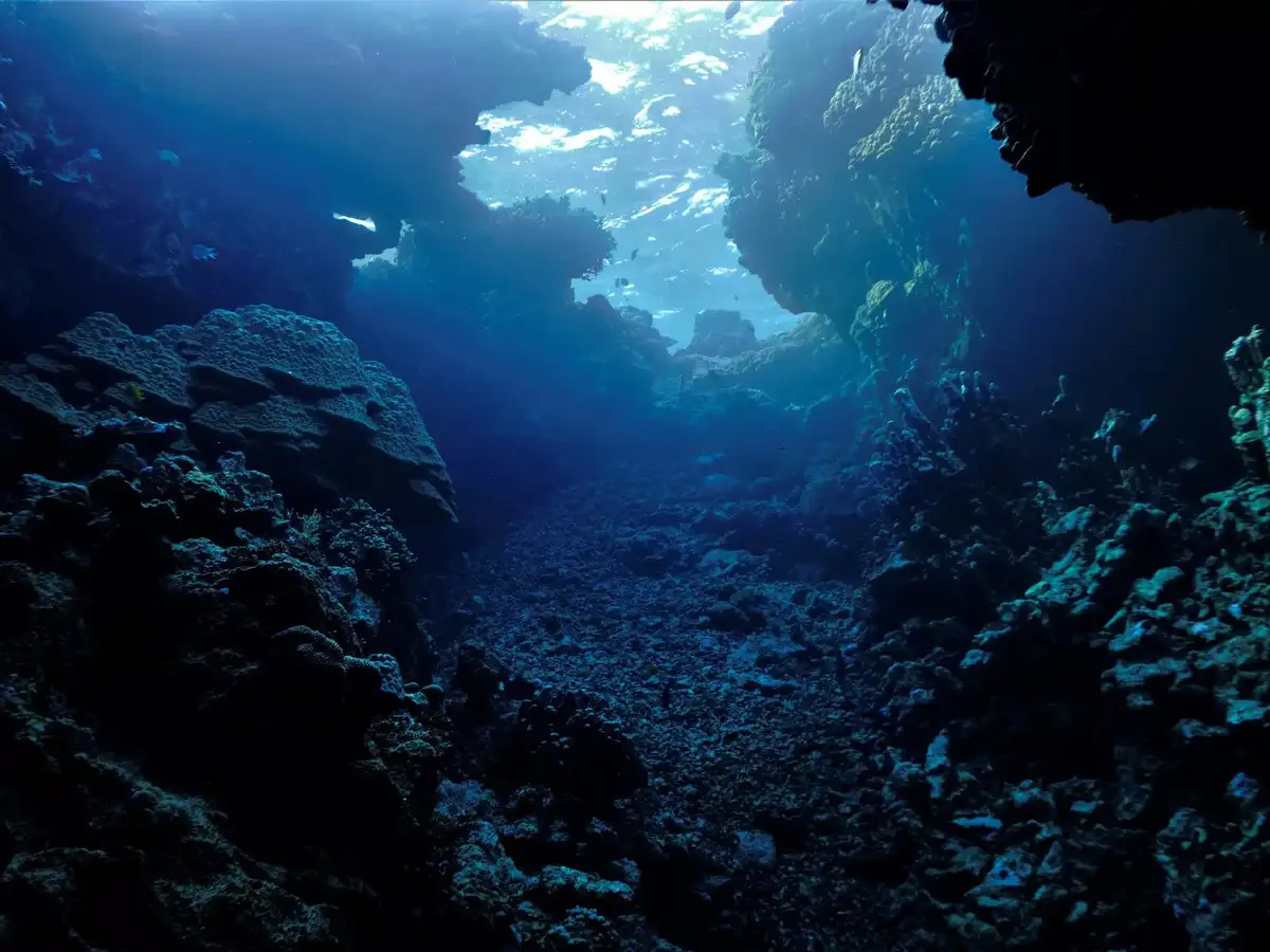 Underwater Ocean Dark