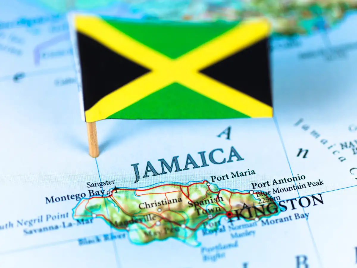 Chartered flight with several Indians sent back to Dubai from Jamaica ...