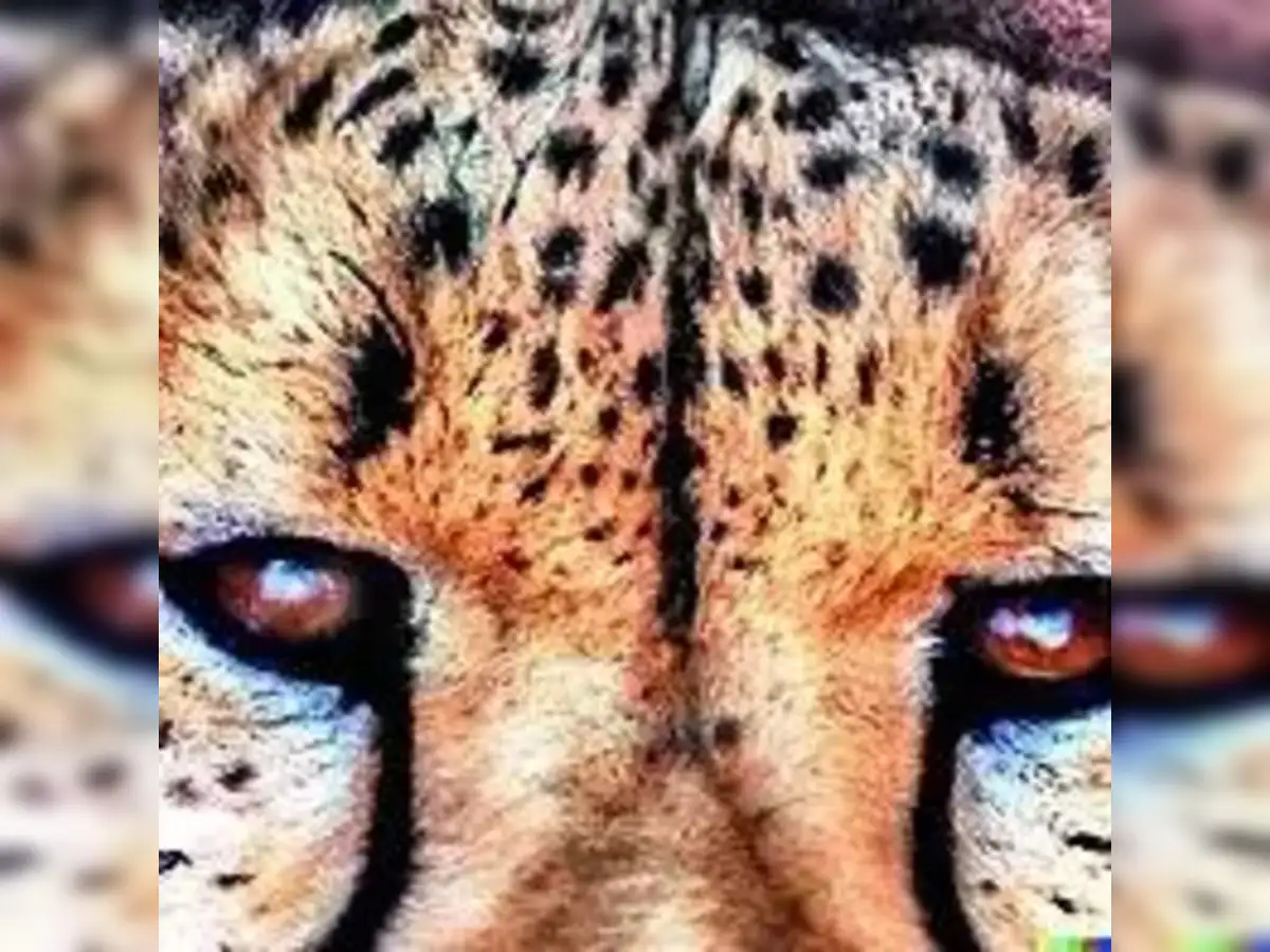 We must change our spots for cheetahs - The Economic Times