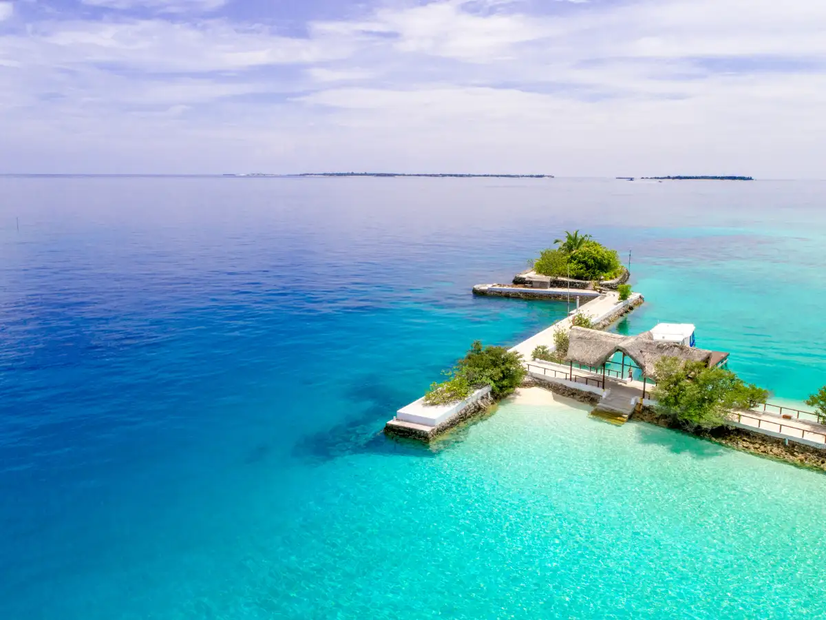 Air India, Maldivian sign interline pact to make your next holiday to Maldives easier - The ...