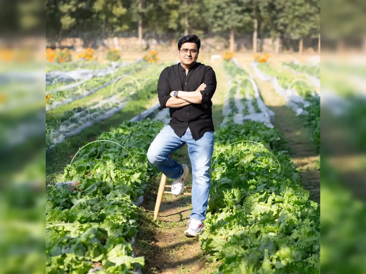 Salad Days funding: Salad Days raises Rs 30 crore in round led by V3 Ventures, CAAF - The ...