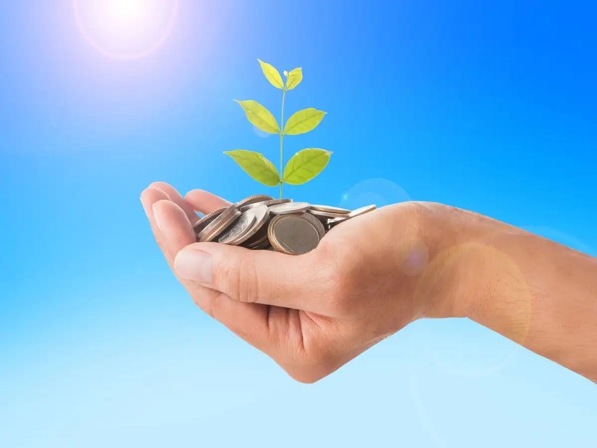 investment guide: A beginner’s guide to investing: All you need to know ...