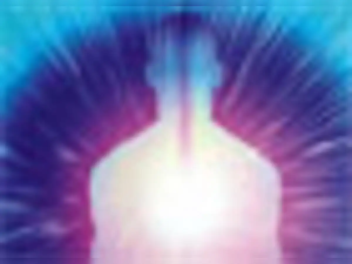 Nirvana Shrine - The Economic Times