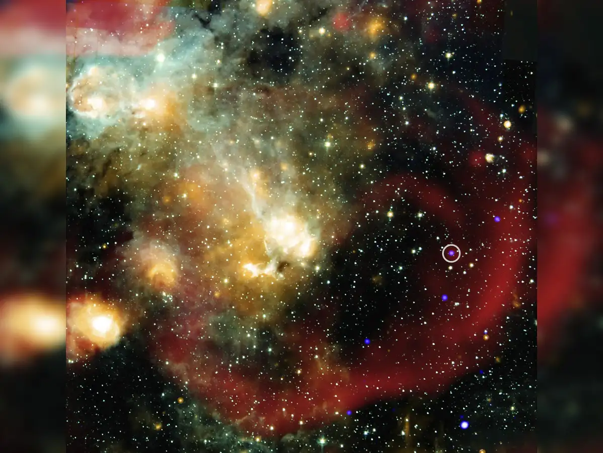 The Andromeda Galaxy X Ray