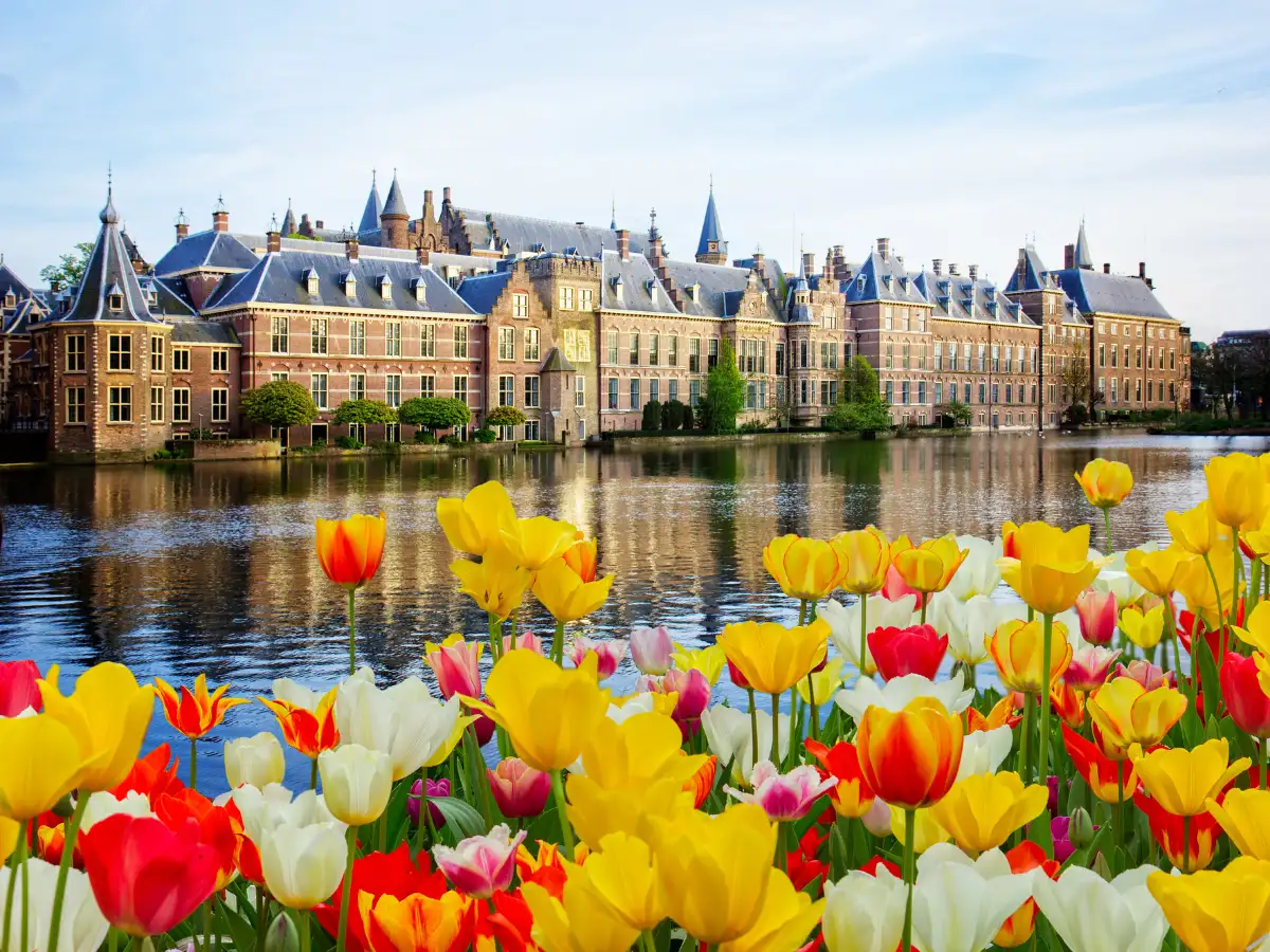 New VFS programme opens doors for Indian tech graduates to pursue ...