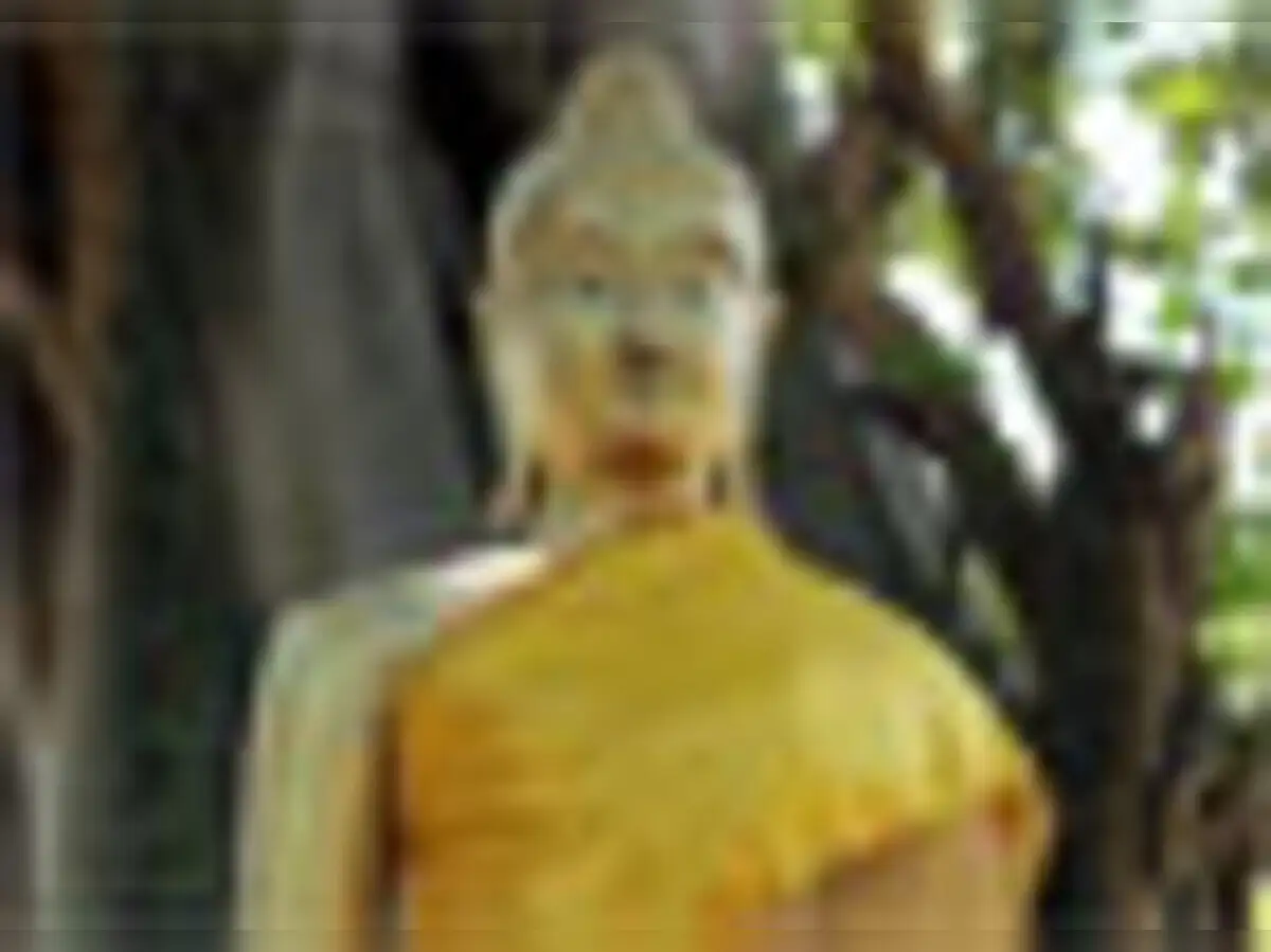 A new night of Bo Moon - The Economic Times