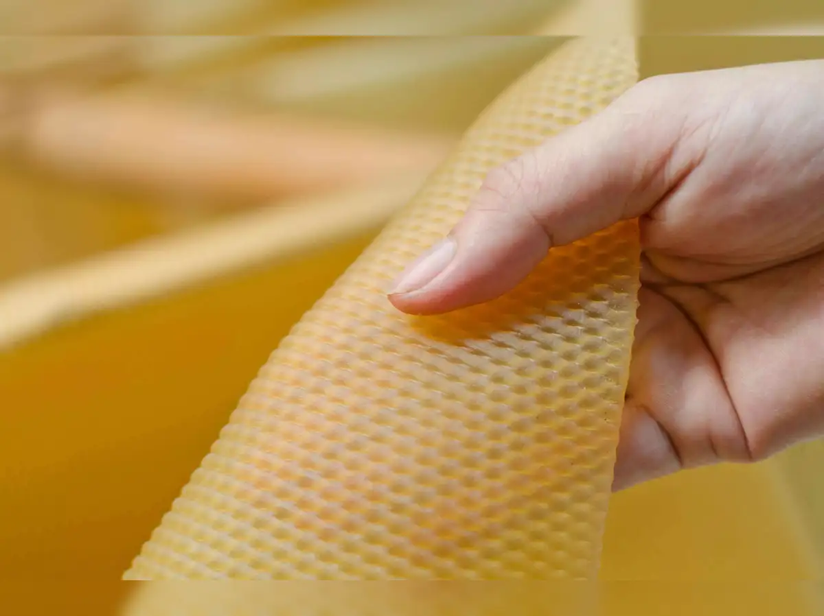Indian Sustainable Natural Rubber iSNR initiative launched to set new global standards for sustainability. The Economic Times