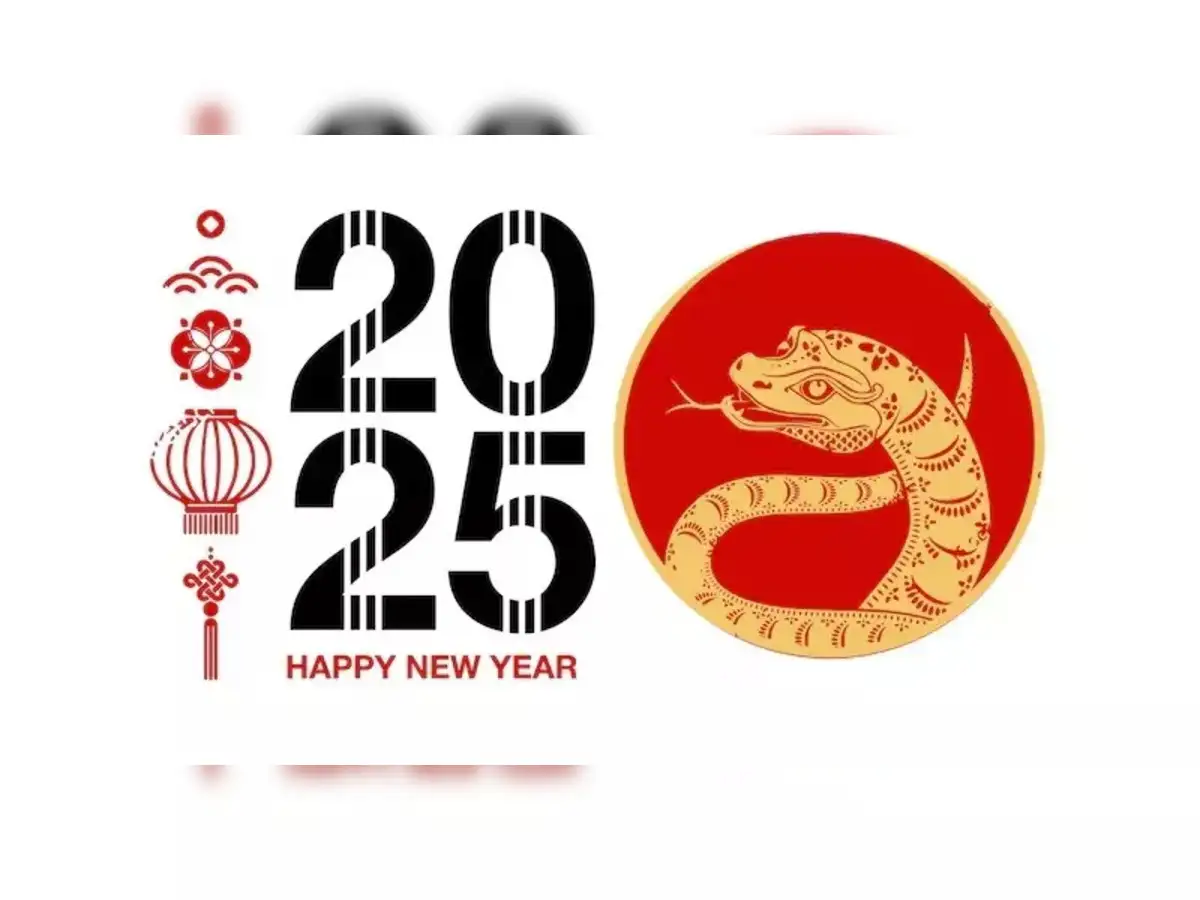 Chinese zodiac snake horoscope 2023 60 photos - Astrologytoyou.com