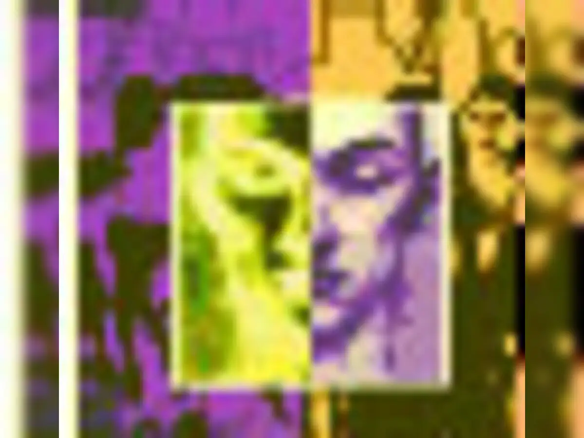 How to be virtuous to a fault - The Economic Times