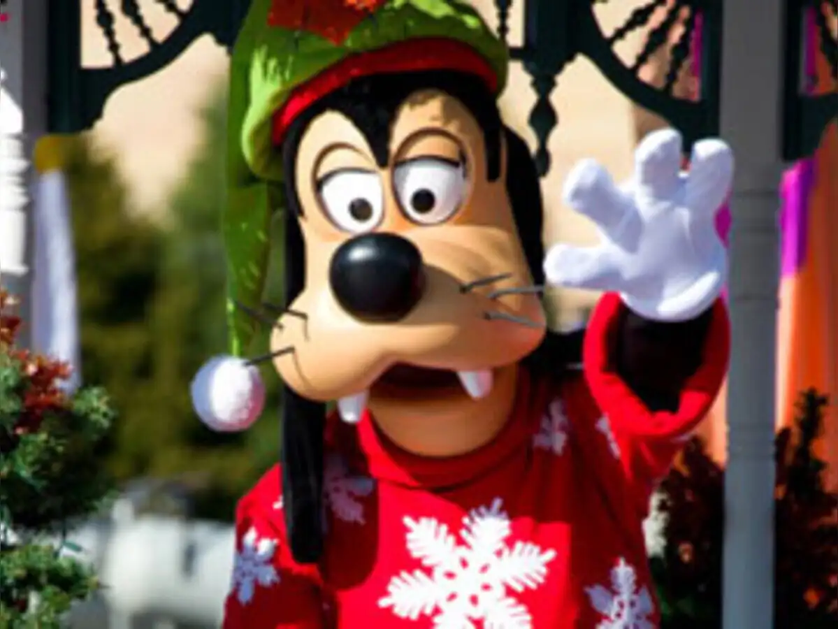 Capital markets made into cartoons? Sebi would win the role of Goofy ...