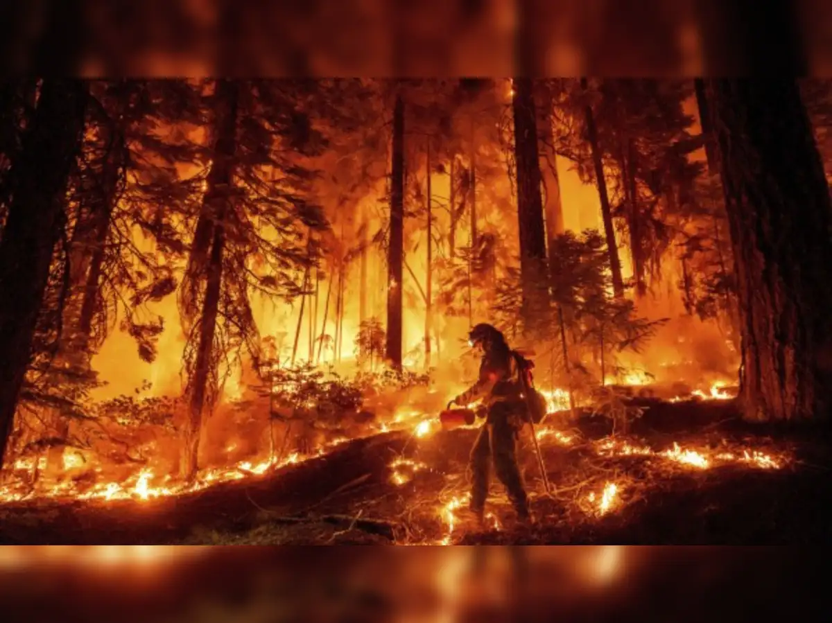 Fire Rain High Quality Rain Helps 1,000 Firefighters Slow Big New