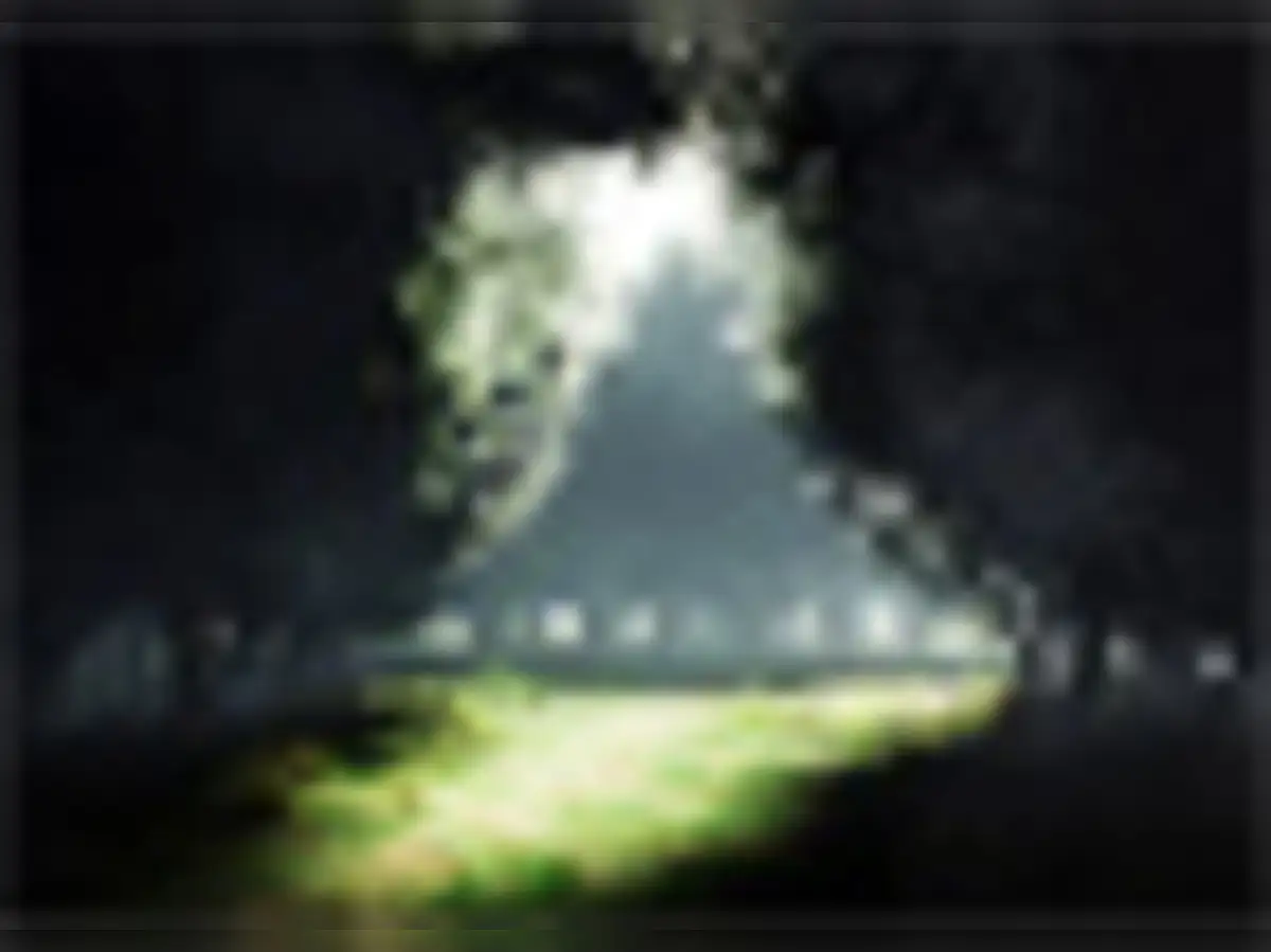 Clear light of reality - The Economic Times