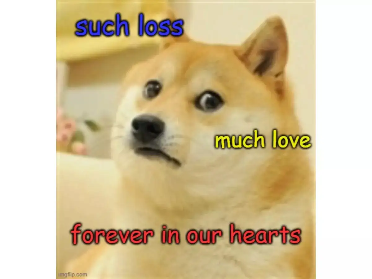 Doge Meme Such Wow "Wow Such Dog Image!" By Nexushydra