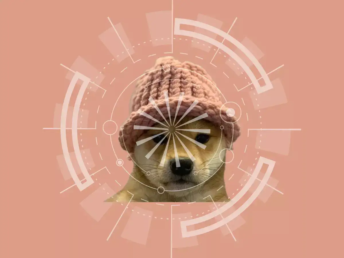 Meme coin Dogwifhat (WIF) price explodes 50%, but what's the next big ...