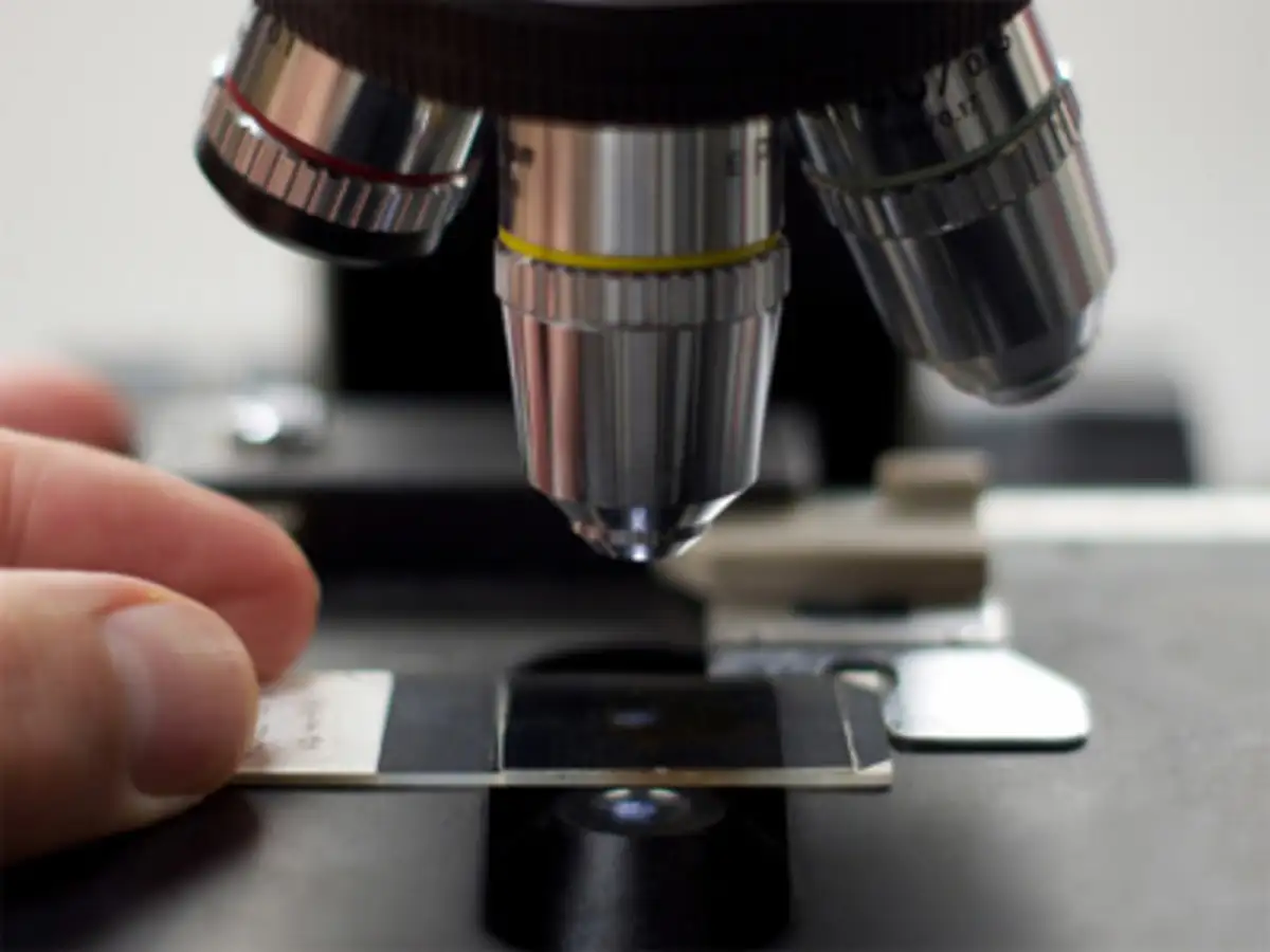 Indian-origin researcher Arjun Raj features among 10 most promising ...