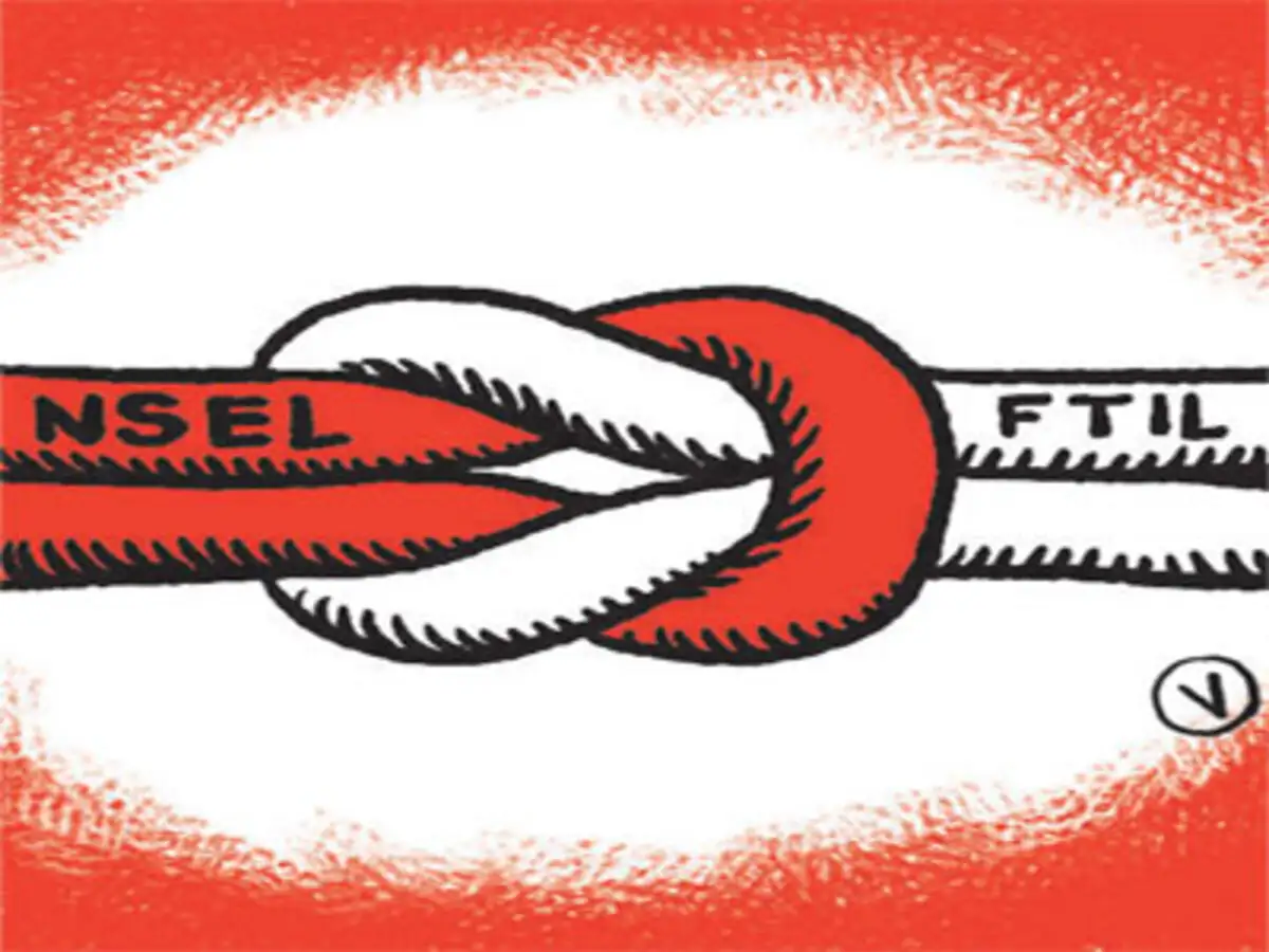 NSEL-FTIL merger violates the basic principle of limited liability ...