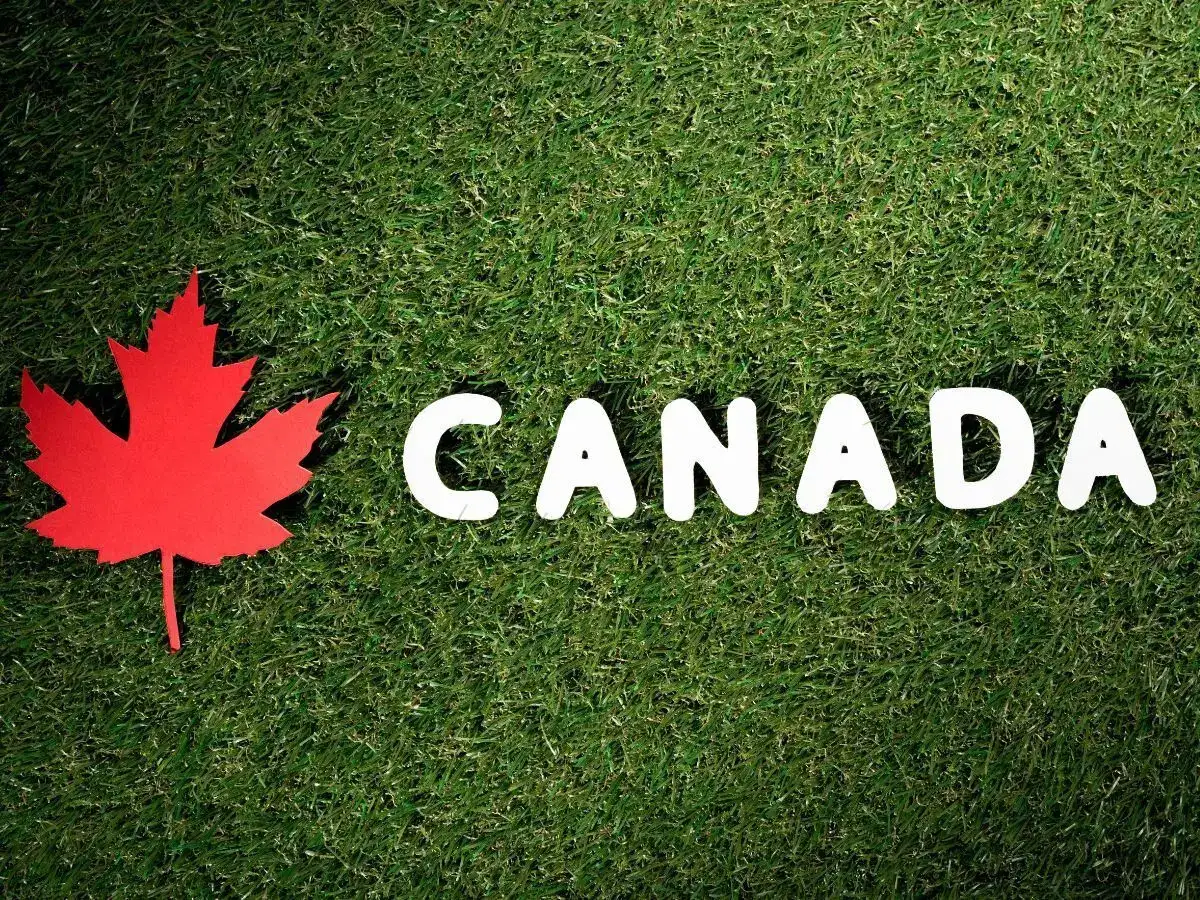 Canada to tighten rules for immigration consultants from July 15 - The ...
