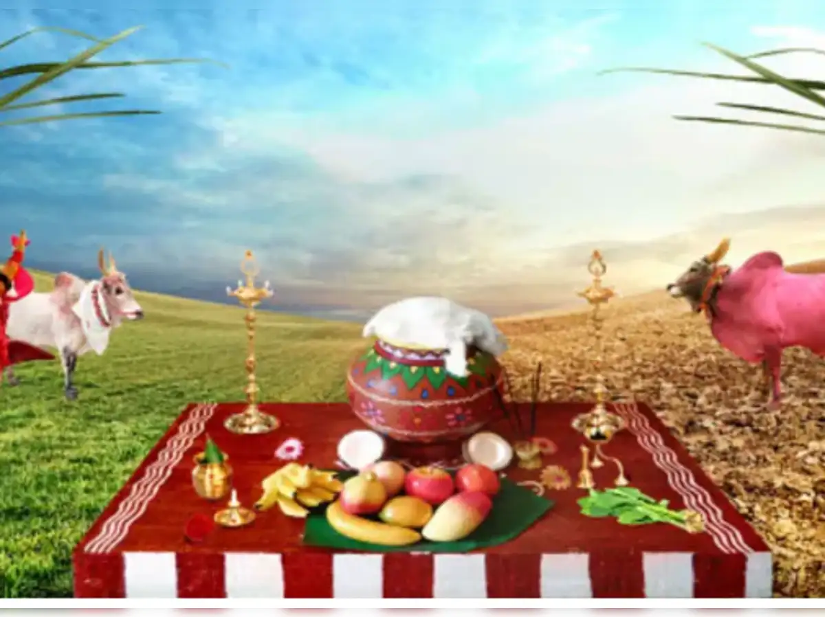 When is pongal 2021 store