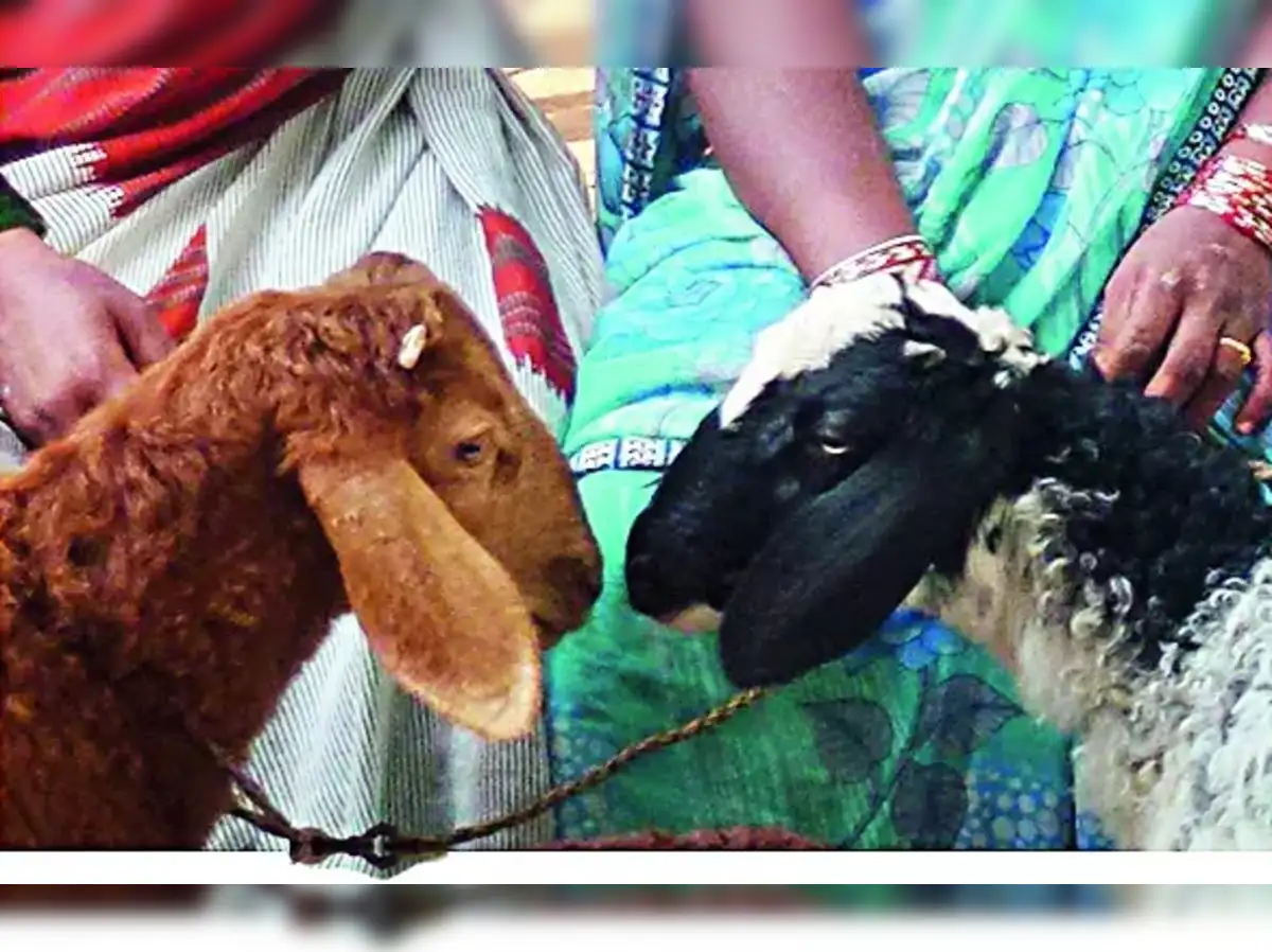 View: The acquiescent Indian - The Economic Times