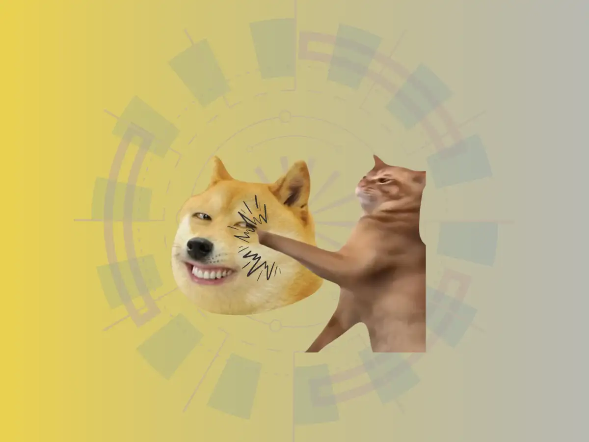 Catslap is the new cat coin in town. The feisty feline’s quirky ...