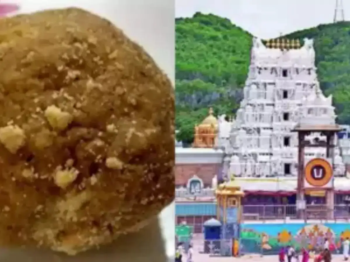 Tirupathi Laddu Wedding