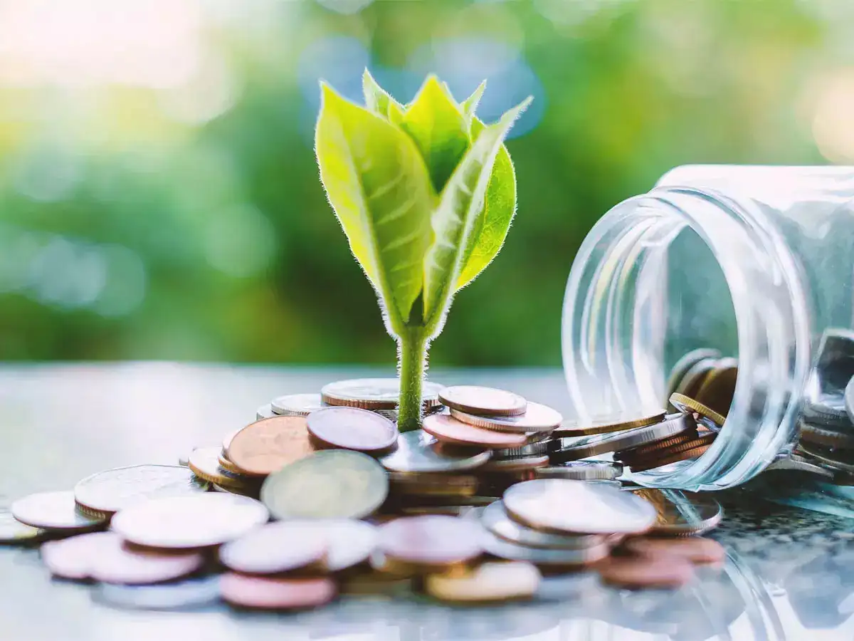 Should you continue with your endowment insurance policy? - The ...