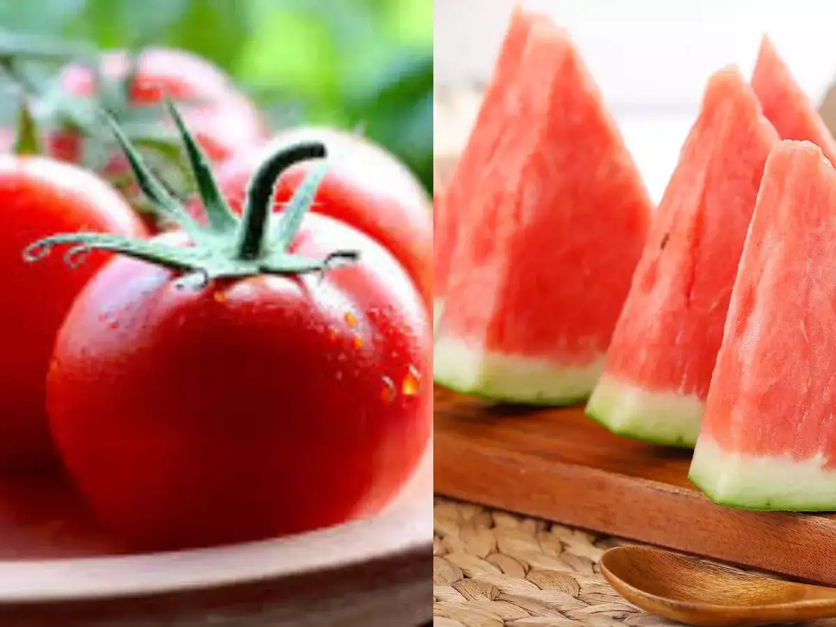 Watermelon Will Cheer Kawaii Watermelon Stock Illustrations – 4,298