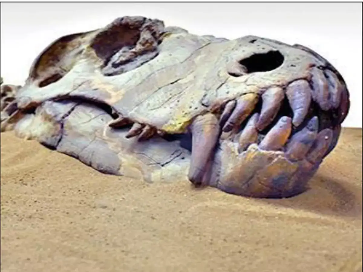 State Trading Enterprises: The dinosaurs in the trade park - The ...