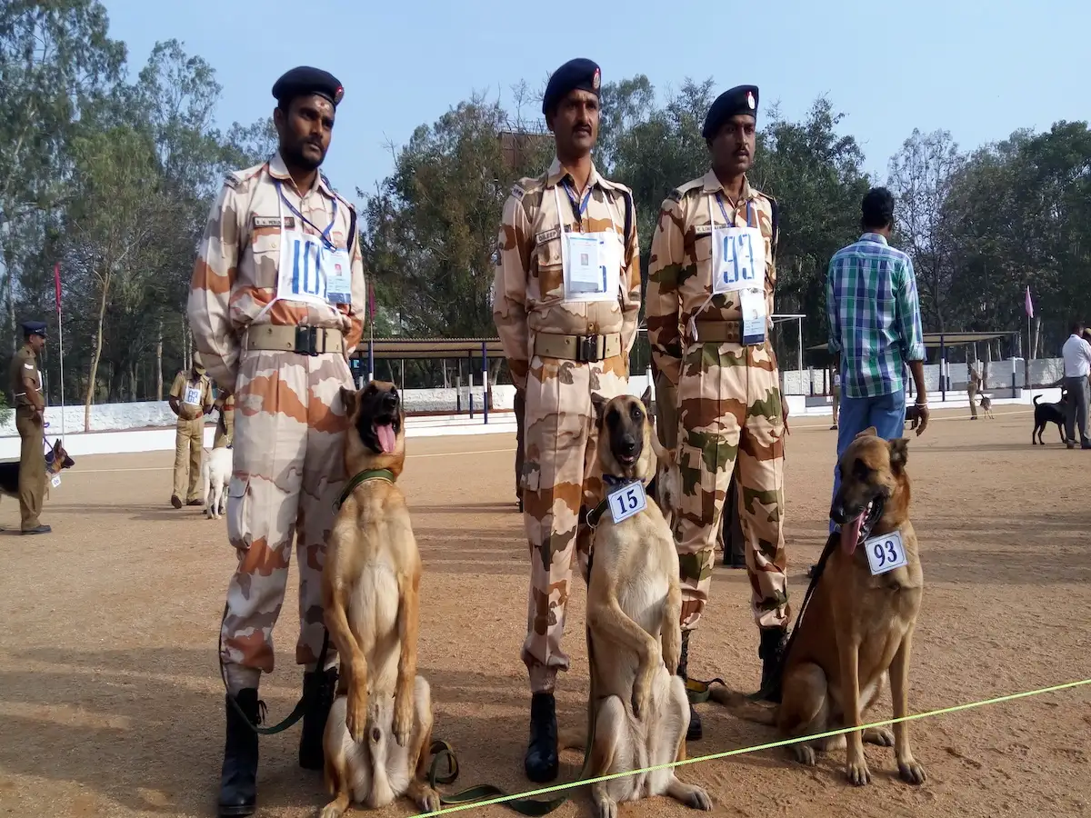 Indian Police Dog Breed Mumbai Police's Tweet For 'furry Friends' On
