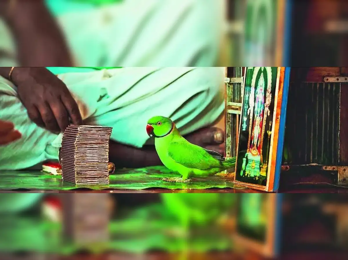 The fact is, jingo bells, jingo bells, jingoism all the way - The ...