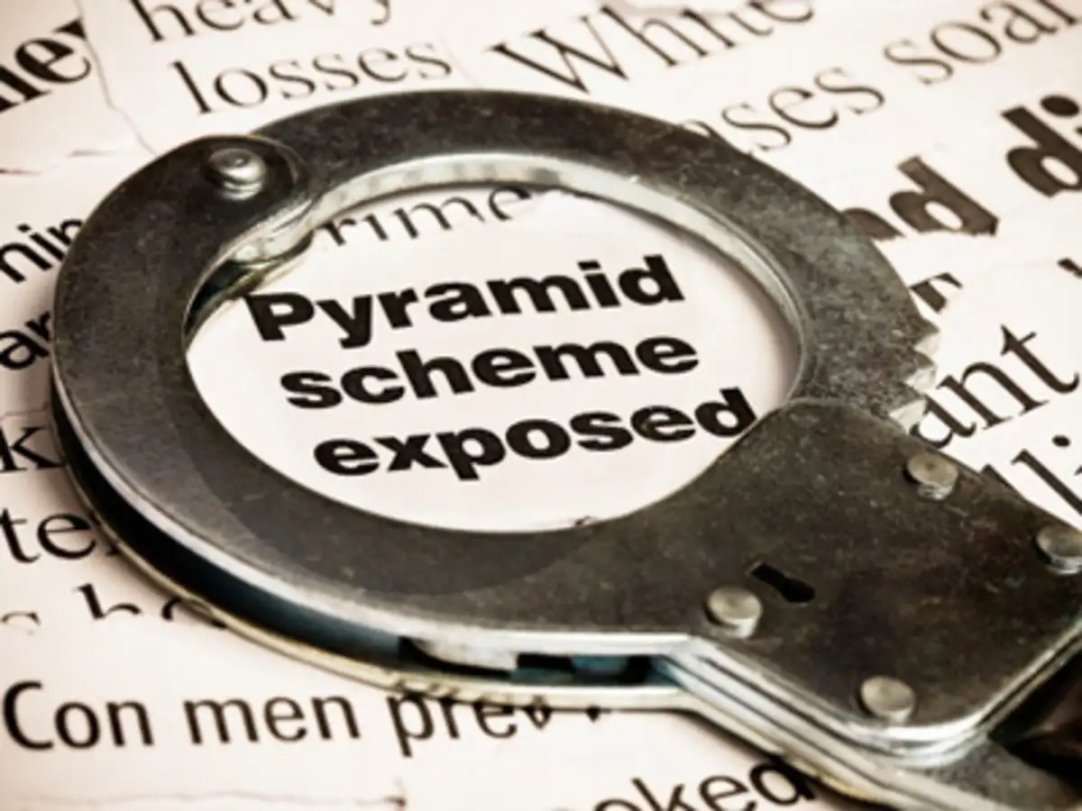 Sebi probes pyramid schemes based on cows and desi ghee - The Economic ...