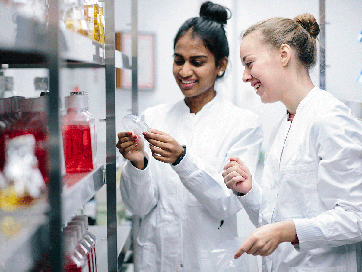 foreign universities: Indian students flock to foreign universities as ...