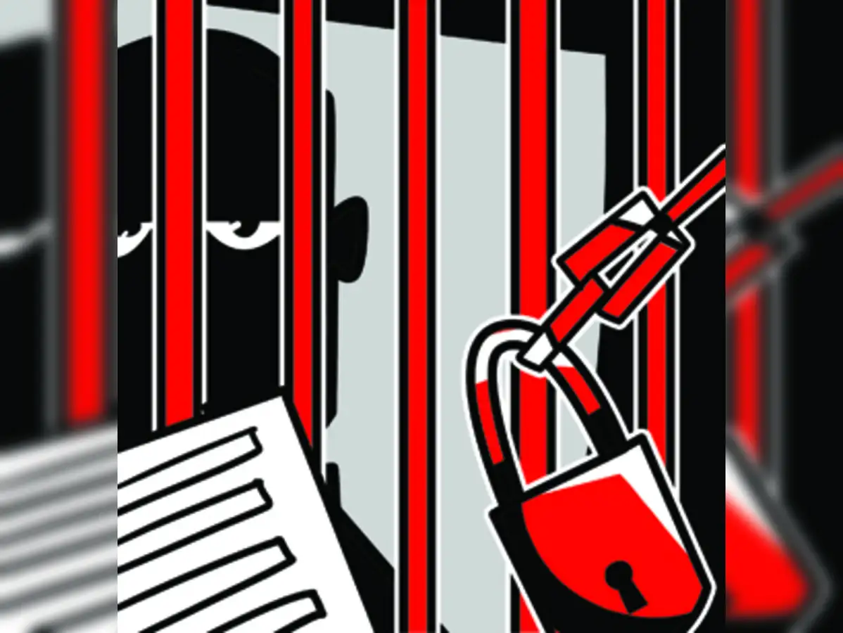 bail: Bell the bail cat on a permanent basis - The Economic Times