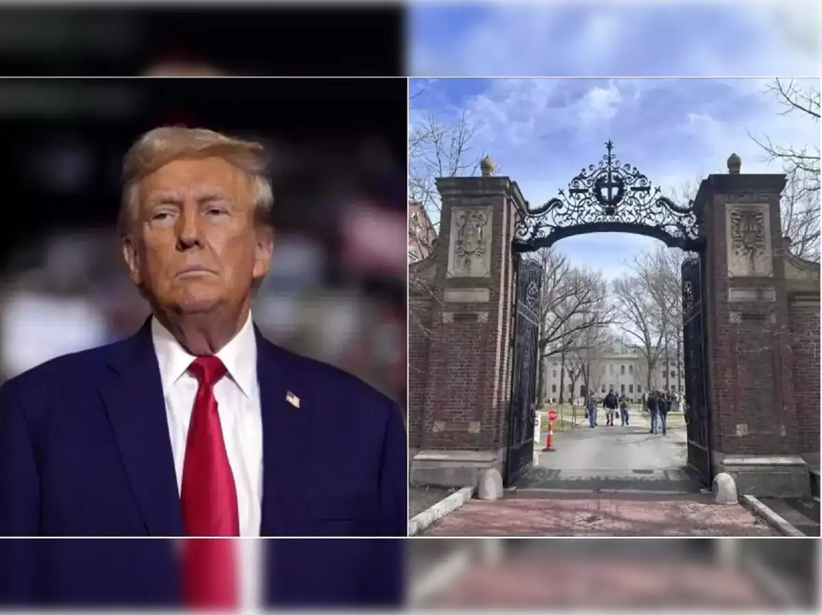 Submit disciplinary records or lose eligibility to enrol foreign ...