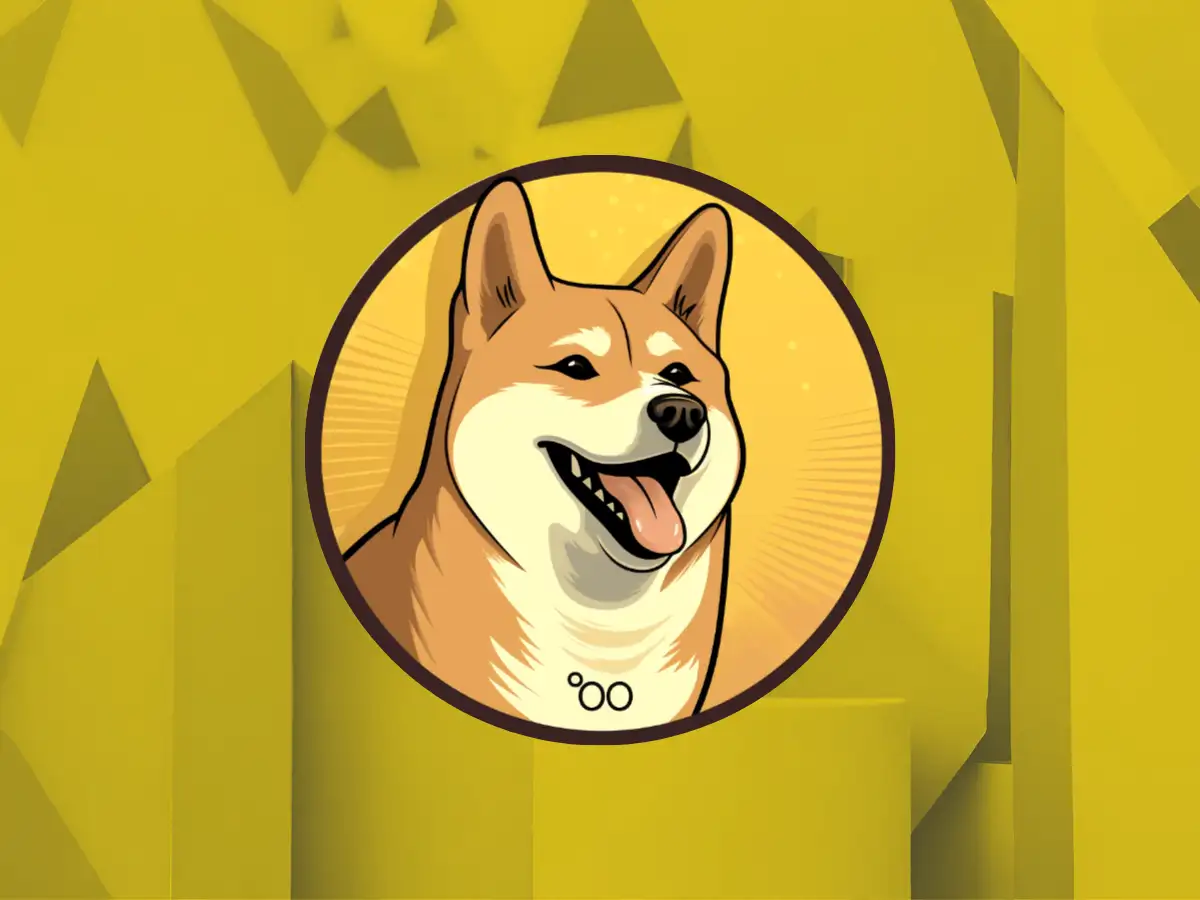 Dogecoin20: After raising $5.5M in one week, just $1M remains for ...