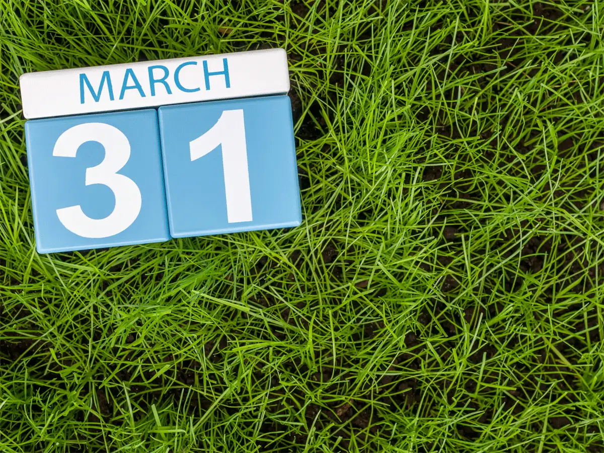 tax saving investment last date: March 31 is last date to ensure timely ...