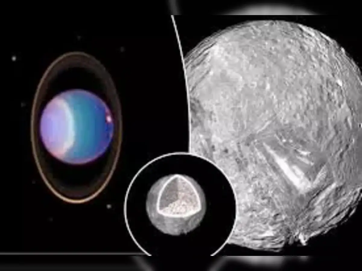 Find The Moon The Love Moon: Tools & Inspiration For The New Moon In