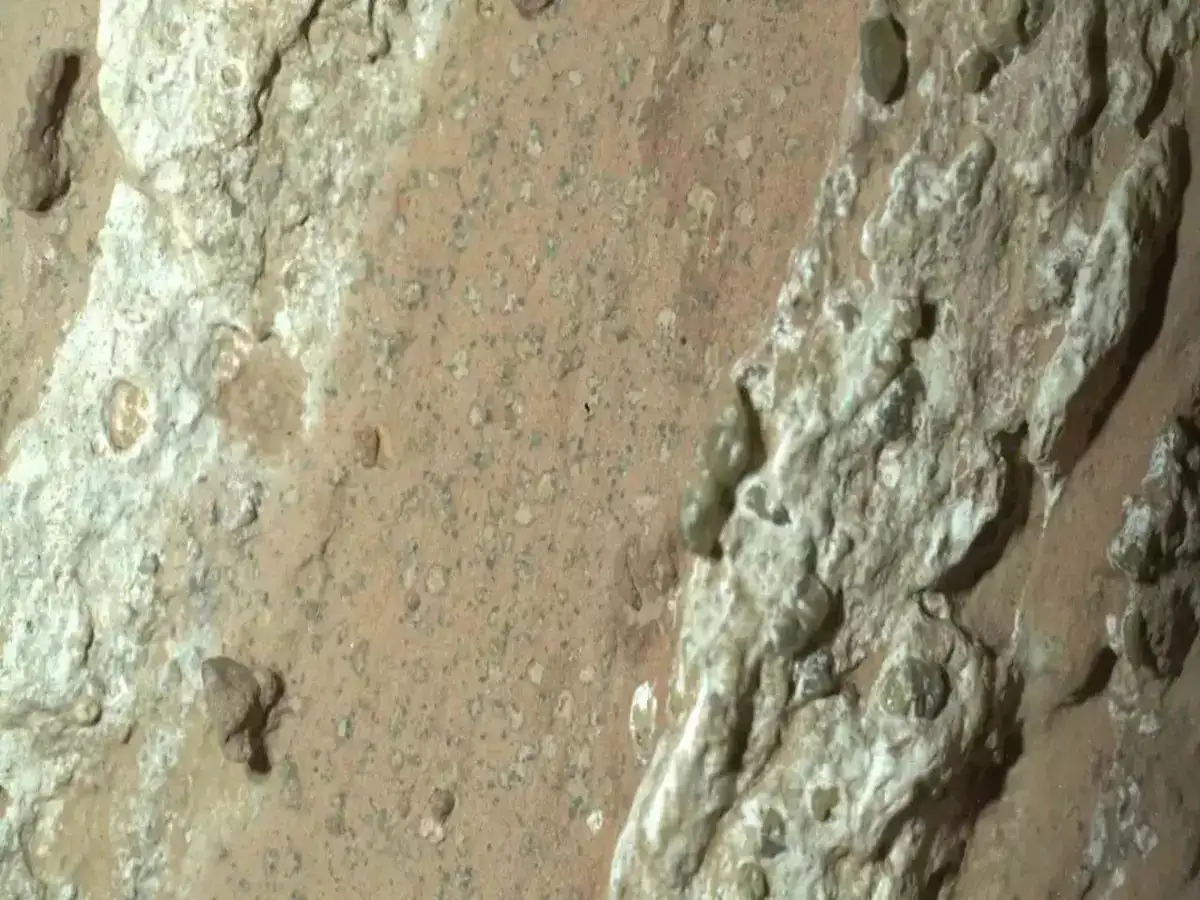 Alien On Mars 2014 Live: NASA's 'alien Hunting' Perseverance Rover