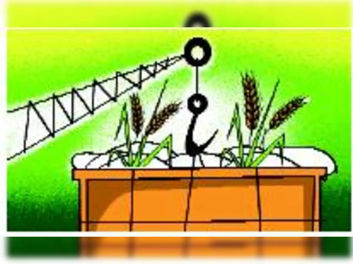 Rice surprise - the Indian move - The Economic Times