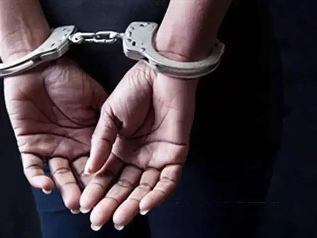 Indian-American arrested in Silicon Valley over H-1B visa fraud - The ...