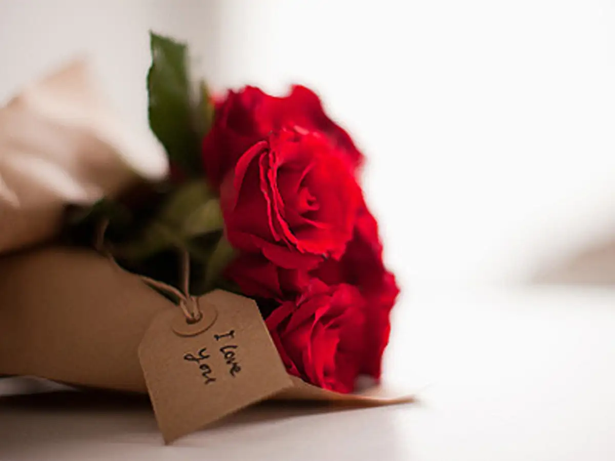 Flower Export Company In Bangalore | Best Flower Site