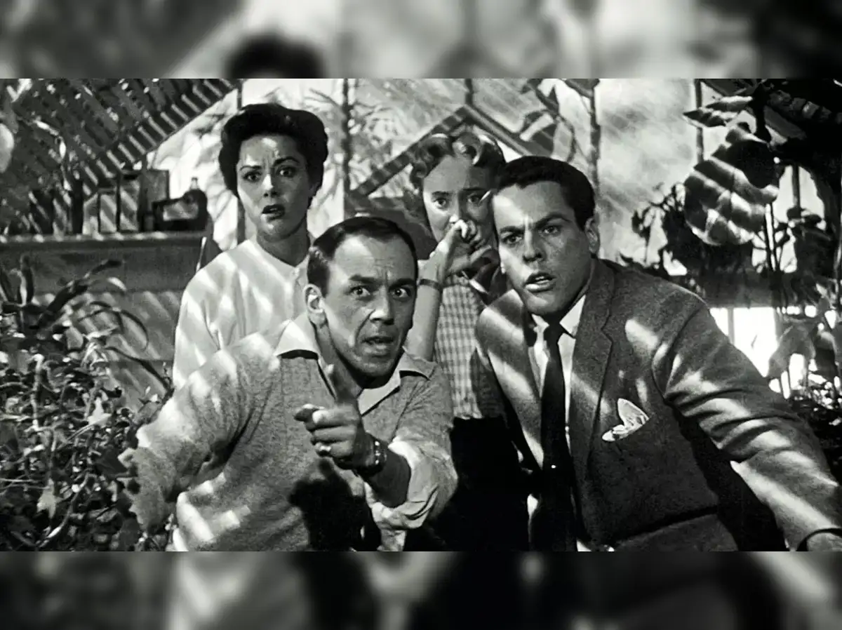 View: The ‘Groyper Army’ is going bonkers over the H-1B system being ...