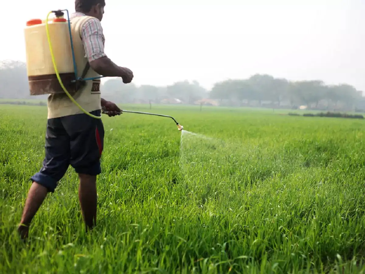 fyllo: IG International partners with agri-tech platfrorm Fyllo to ...