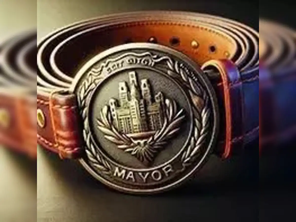 Our cities need real mayors with real job - The Economic Times