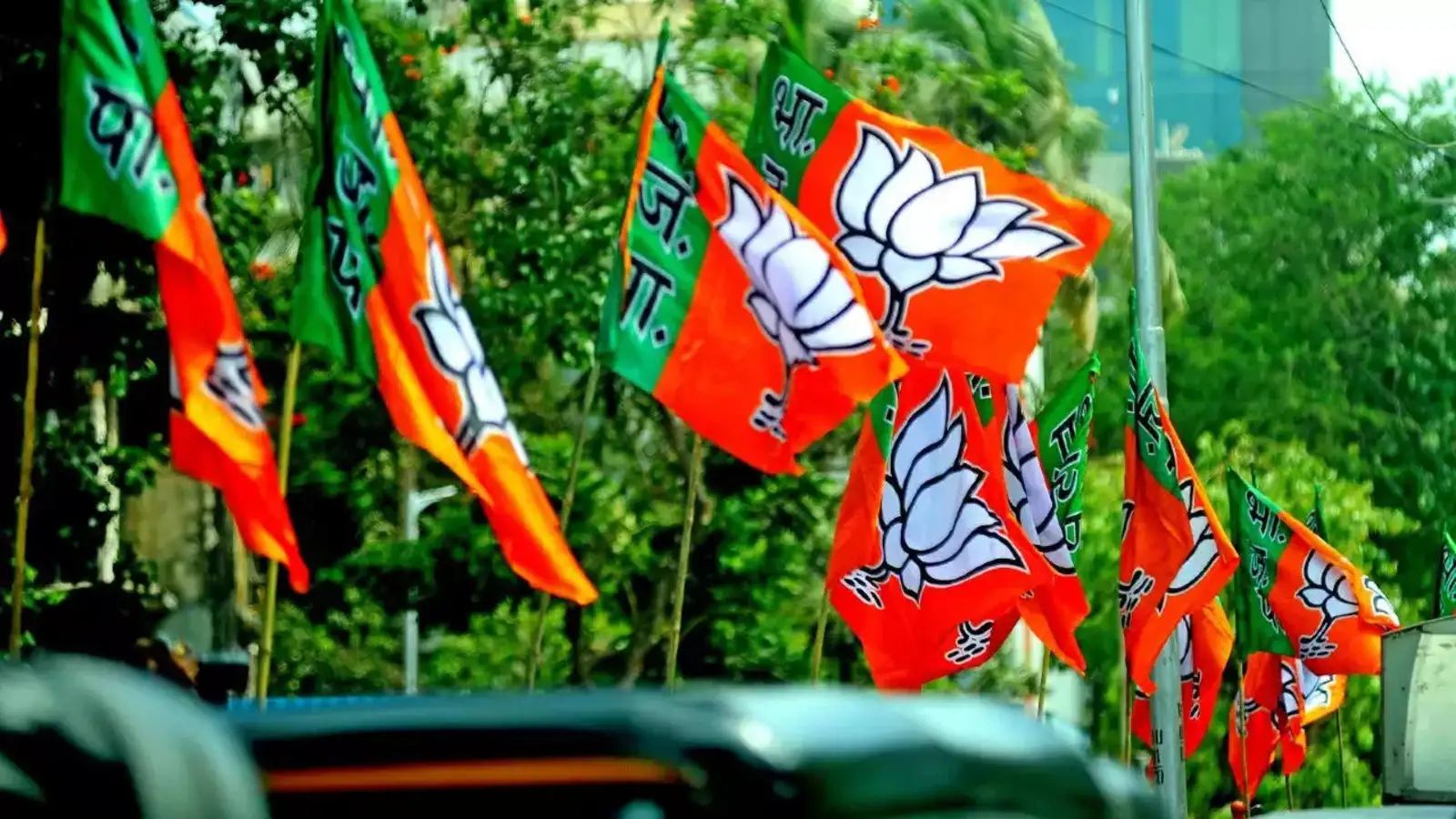 Images Of Bjp Logo New BJP Logo At BjpLogocom 9618355, Bjp Flag