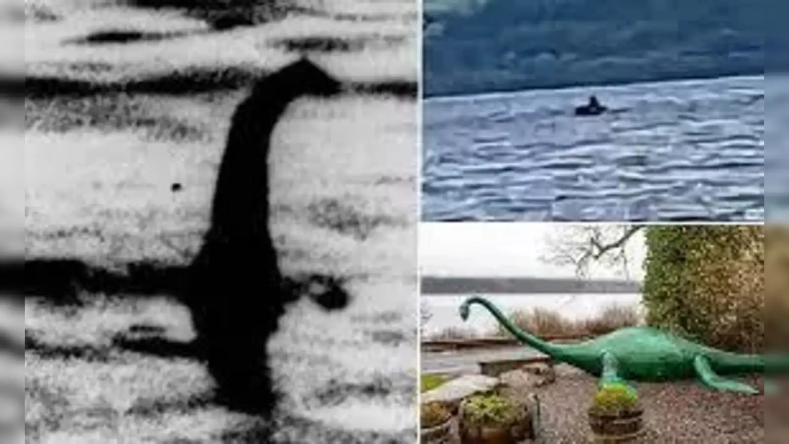 The Real Loch Ness Monster Nessie Gibt Es Nessie? Große Suche Startet